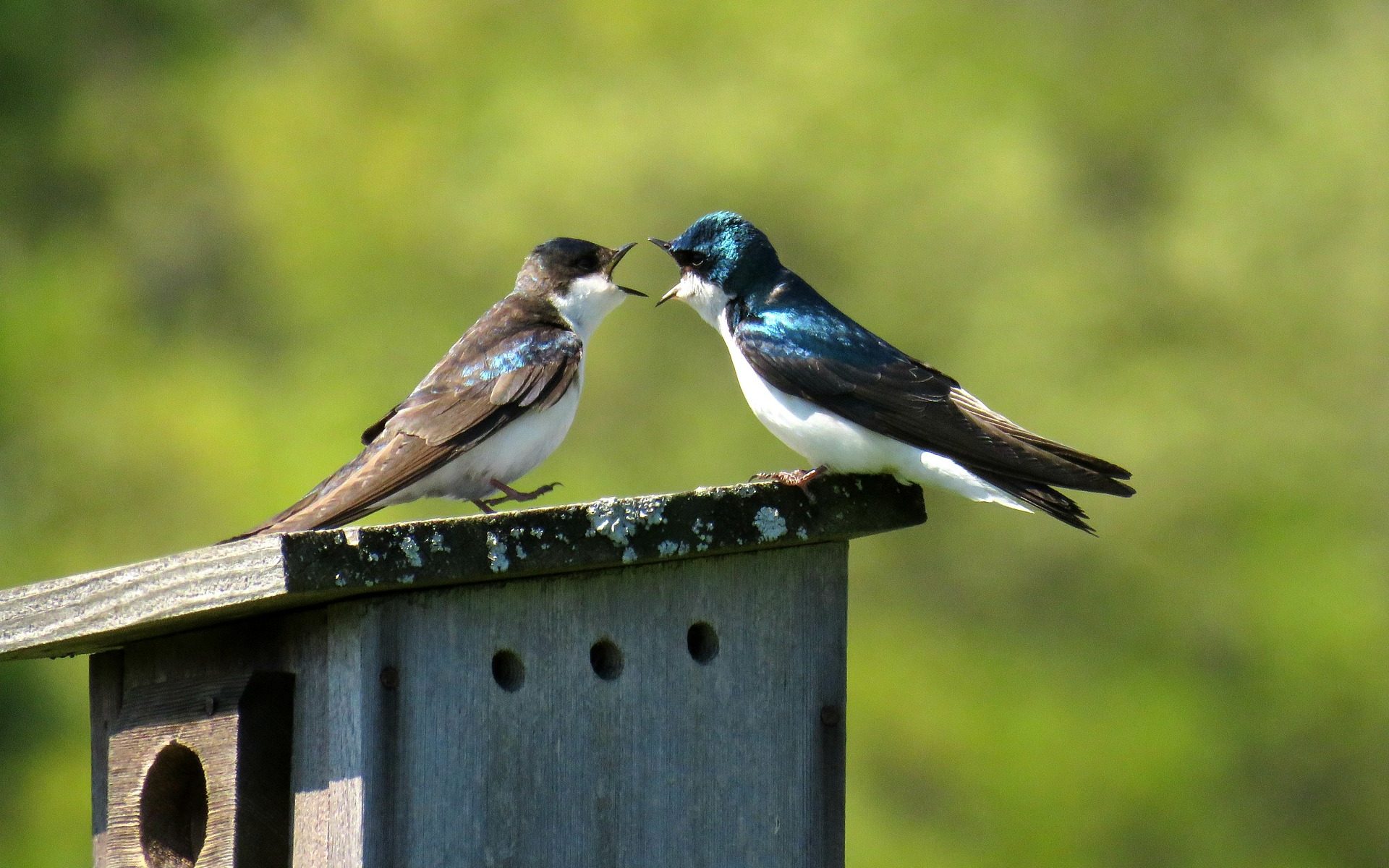 How To Write A Counter Argument Writing Manual